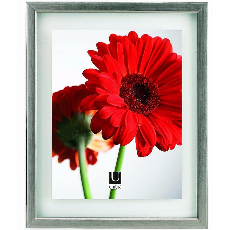 The Original Umbra nickel finish float DOCUMENT frame - Picture Frames ...